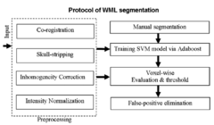 2009 Summer Project Week WML SEgmentation - NAMIC Wiki