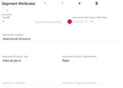 2016 Summer Project Week/Segmentation Editor and Terminology - NAMIC Wiki