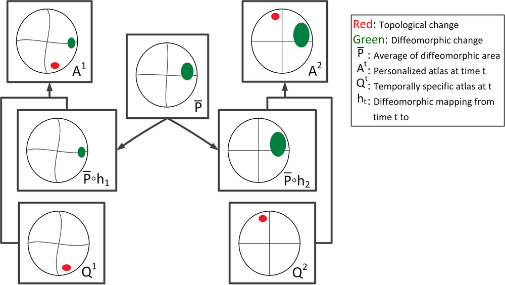 Projects:PathologyAnalysis - NAMIC Wiki