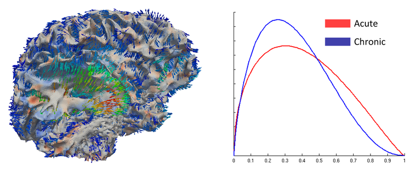 Projects:PathologyAnalysis - NAMIC Wiki